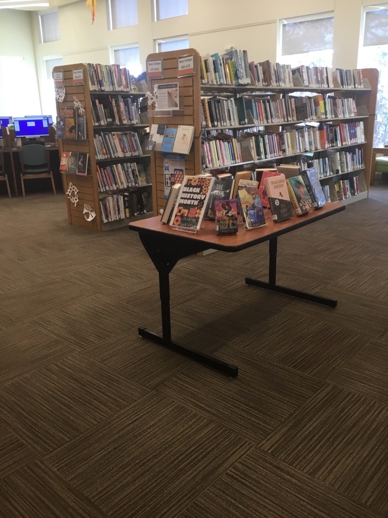 South Display – Parkersburg & Wood County Public Library
