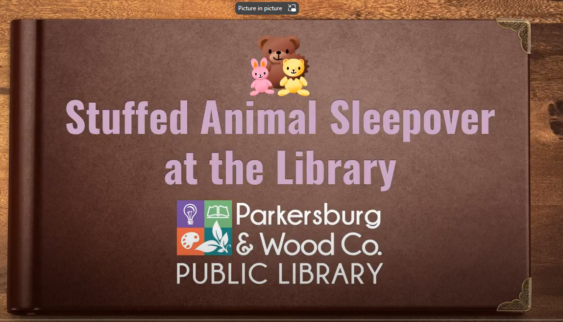 stuffed animal sleepover cover – Parkersburg & Wood County Public Library